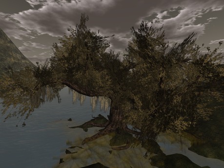 Second Life Marketplace - ~*SR*~ Ancient Gothic Swamp Tree m/t Box