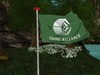 Second Life Marketplace - 2 prim Full Perm Ferengi Alliance Flexi Flag ...