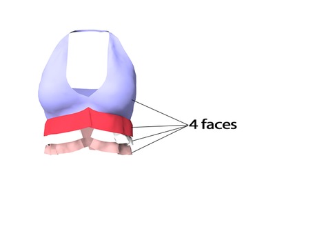 Second Life Marketplace - Full Perm WC Rigged Halter Boho Vest Top