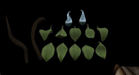 Second Life Marketplace - ::Supplee:: Sculpted leaves - Full perms