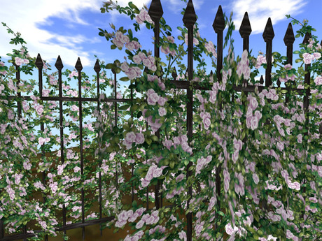 Second Life Marketplace - Hedge of rose (purple)