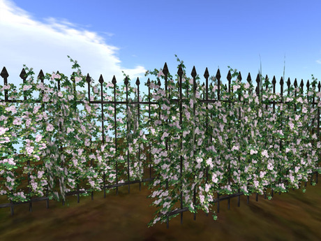 Second Life Marketplace - Hedge of rose (purple)