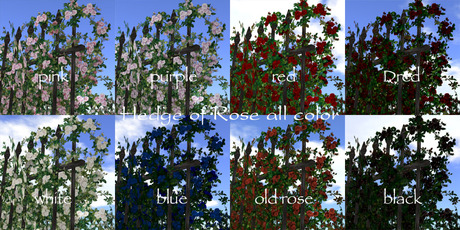 Second Life Marketplace - Hedge of rose (black)