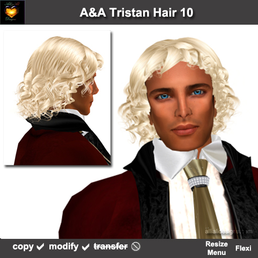 Second Life Marketplace - A&A Tristan Hair Platinum (Color 10). Mid ...