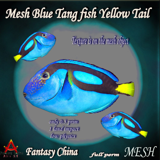 Second Life Marketplace - Mesh Blue Tang fish Yellow Tail