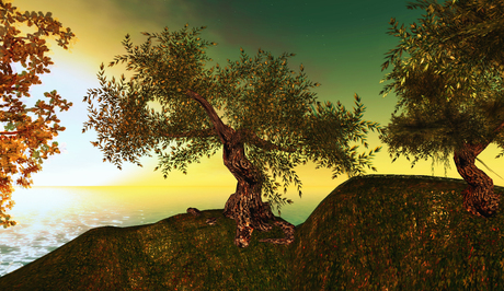 Second Life Marketplace - NEW TRAILS - OEL-tree/ sculpted tree modify ...