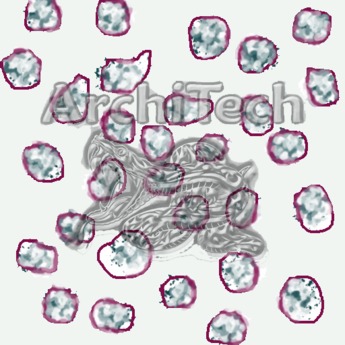 Second Life Marketplace - Fantasy Ground Cover: Commercial Use (An ...