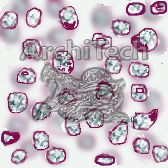 Second Life Marketplace - Fantasy Ground Cover : Personal Use (An ...