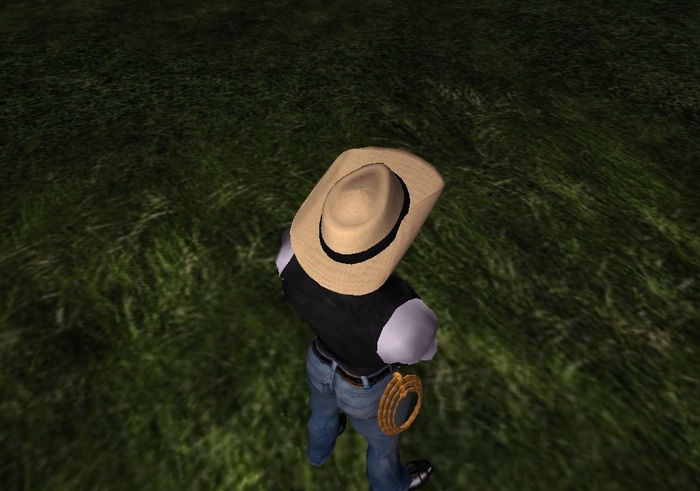 Second Life Marketplace - Mw cowboy hat woven