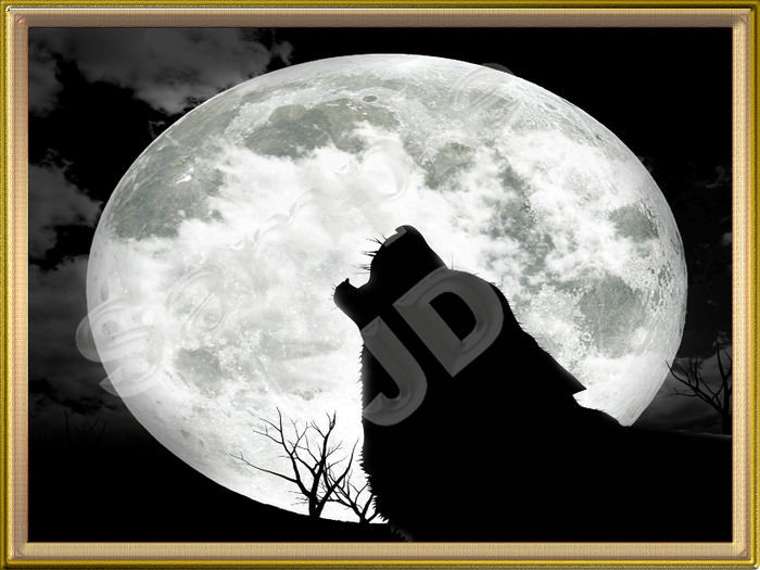 Second Life Marketplace - JD Wolf 6