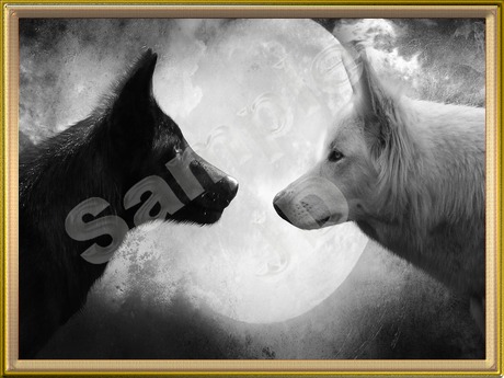 Second Life Marketplace - JD Wolf 8