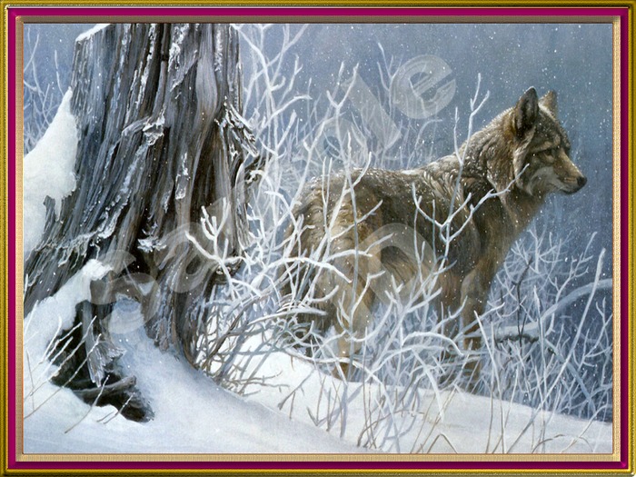 Second Life Marketplace - JD Wolf 10