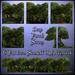 Second Life Marketplace - Full Perm Deep Forest Privacy Screen Textures