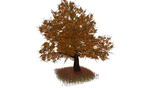 Second Life Marketplace - ^Dejavu^ Autumn Flame Oak Tree