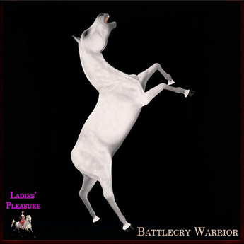 Second Life Marketplace - ~LP~ WH Pose - Boxed - Battlecry Warrior