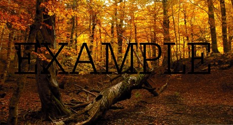 Second Life Marketplace - forest alpha - 50 photos