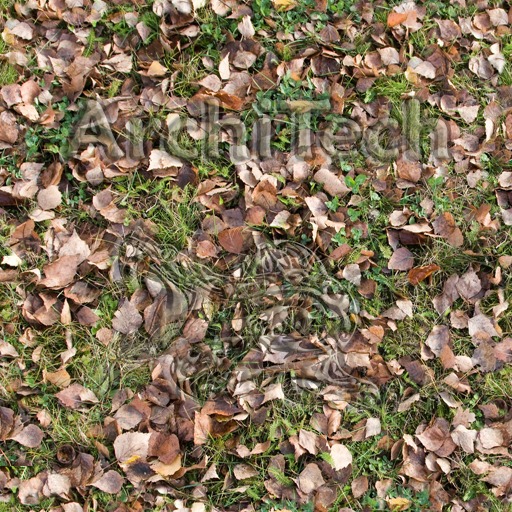 Second Life Marketplace - Fall Ground Texture: Commercial Use (An ...