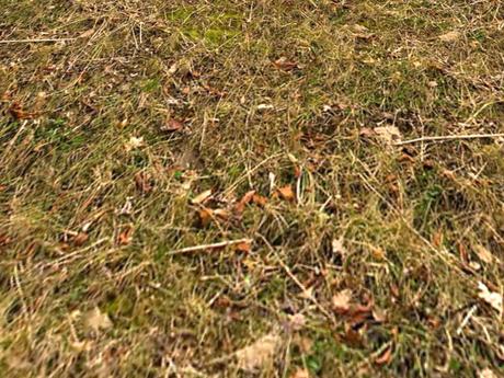 Second Life Marketplace - Fall Grass: Personal Use (An original ...