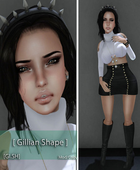 Second Life Marketplace - [GI.SH] Gillian Shape DEMO