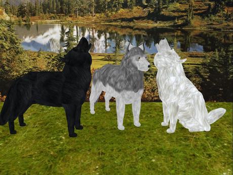 Second Life Marketplace - Wolf - White