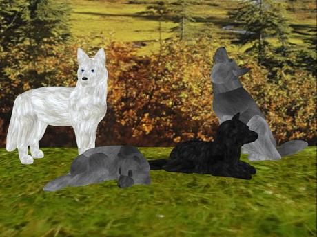 Second Life Marketplace - Deluxe Wolf Pack