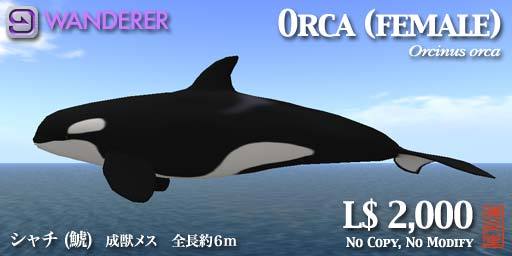 Second Life Marketplace - Orca WANDERER Female 6m
