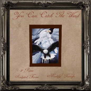 Second Life Marketplace - You Can Catch The Wind