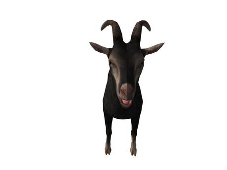 Second Life Marketplace - Goat 7 prims