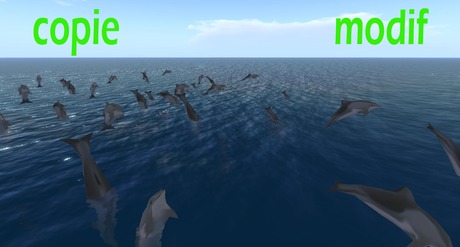 Second Life Marketplace - dolphin family.extra sim.3prims