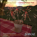 Second Life Marketplace - [CIRCA] - "SunnySide" Canada Day! Sparkler ...