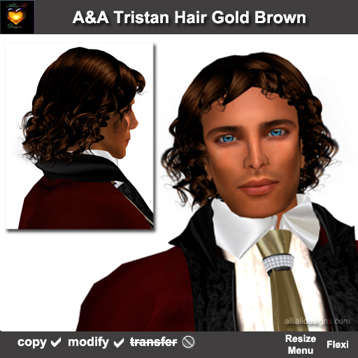 Second Life Marketplace - A&A Tristan Hair Gold Brown (Special Color ...