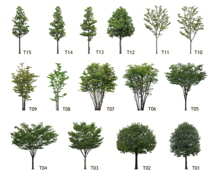 Second Life Marketplace - vivid - tree textures vol.1