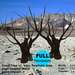 Second Life Marketplace - Dead Tree v3. Full Permission // IMPRESSIVE ...