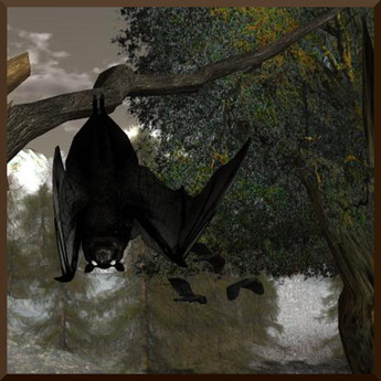 Second Life Marketplace - ~*WH*~ Mesh Bat Avatar Brown