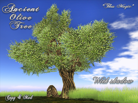 Second Life Marketplace - *Thus Magic*~ Ancient Olive Tree ( with ...