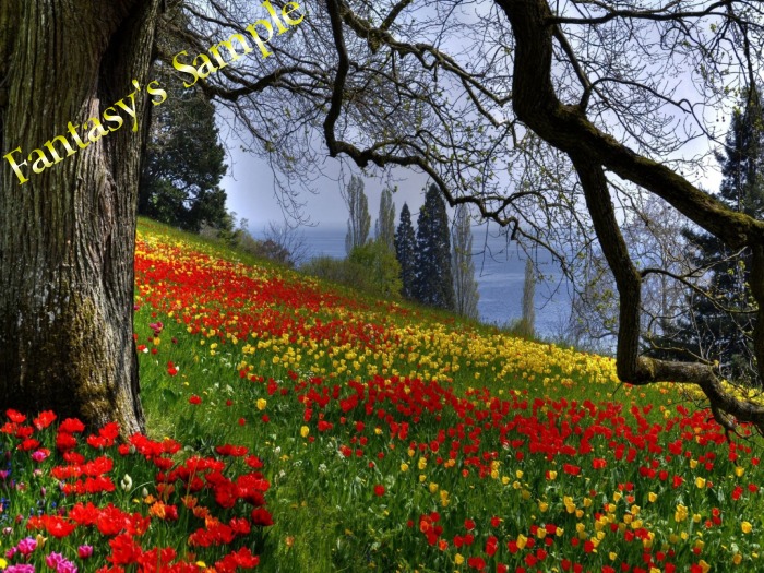 Second Life Marketplace - Forest Wildflowers ~ Nature's Best _High ...