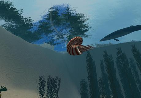 Second Life Marketplace - Free Swimming Chambered Nautilus
