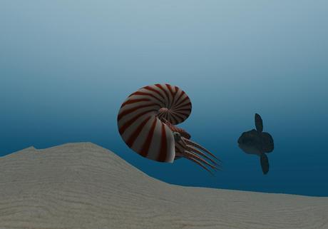 Second Life Marketplace - Free Swimming Chambered Nautilus