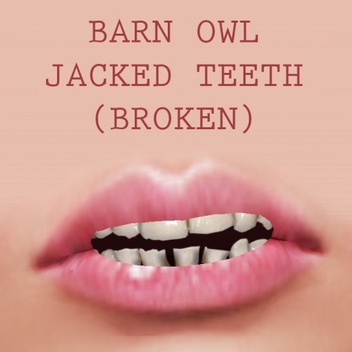 Second Life Marketplace - Barn Owl - Jacked Teeth (Broken)