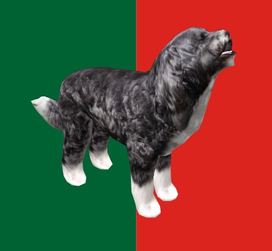 Second Life Marketplace - Portugese Water Dog Shirts(2)