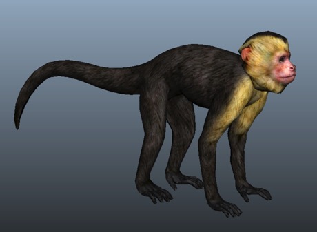 Second Life Marketplace - Monkey - Full Perm