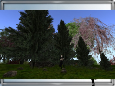 Second Life Marketplace - Lush Evergreen & Rock Prefab Landscape (V2 ...