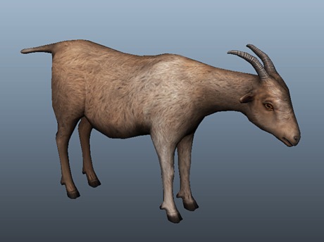 Second Life Marketplace - Goat - Full Perm