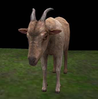 Second Life Marketplace - Goat - Full Perm