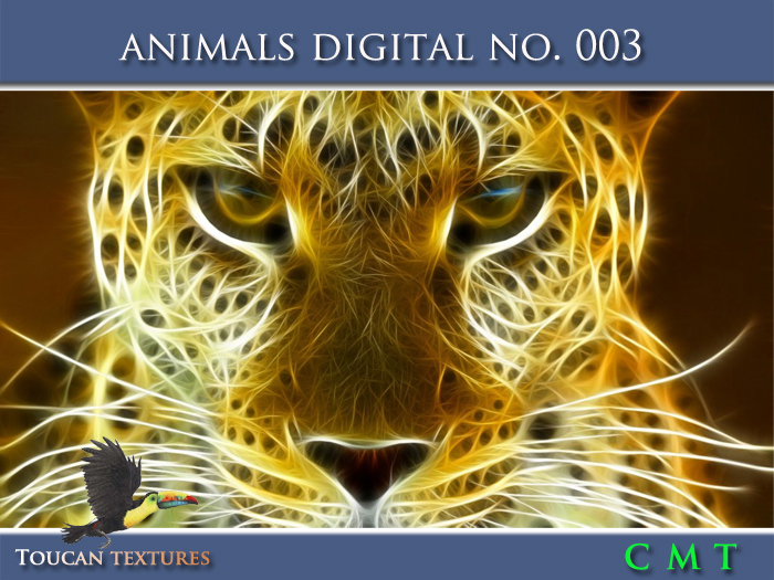 Second Life Marketplace - [Toucan Textures] Animals digital No. 003