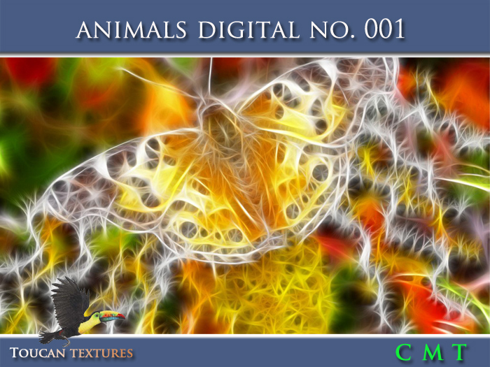 Second Life Marketplace - [Toucan Textures] Animals digital No. 001