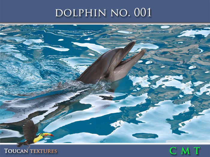 Second Life Marketplace - [Toucan Textures] Dolphin No. 001