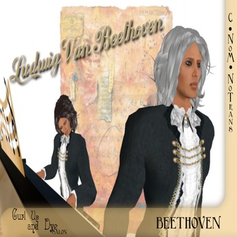 Second Life Marketplace - Cu&D -Ludwig Van Beethoven- Brown Shades ...