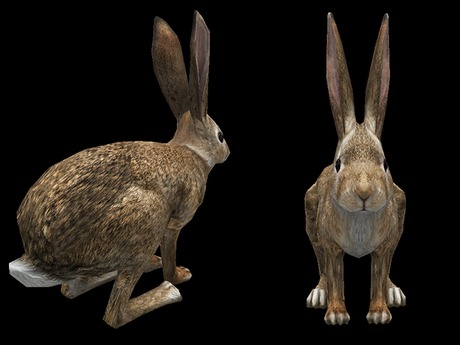 Second Life Marketplace - Rabbit - Full Perm