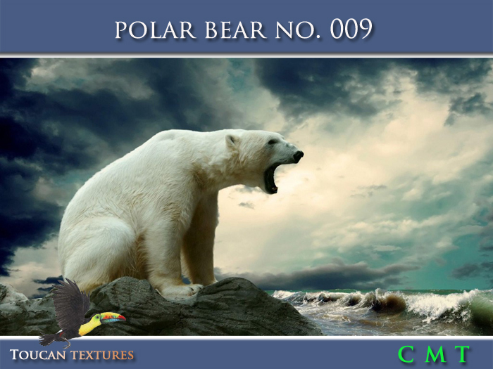Second Life Marketplace - [Toucan Textures] Polar Bear No. 009